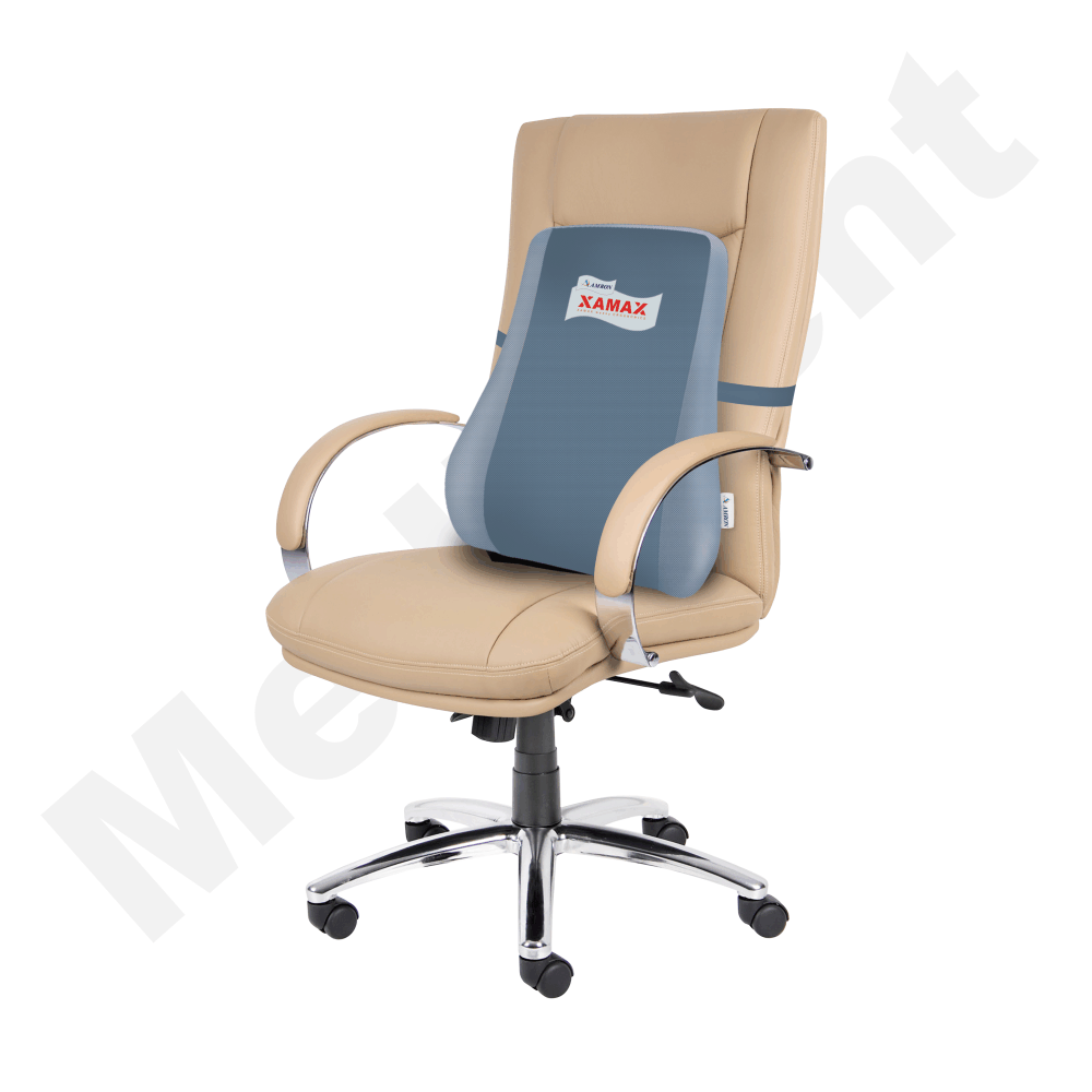Amron Xamax Executive Backrest for Chair Grey Online at Best Price